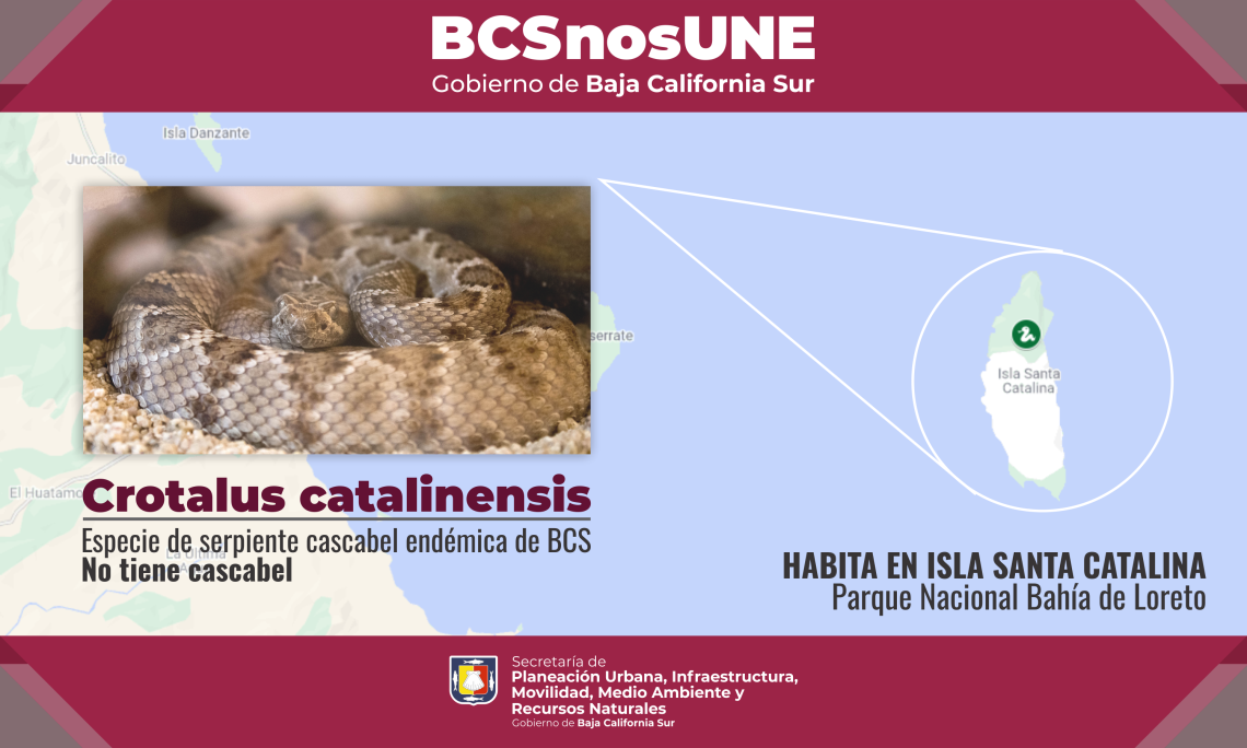 mapa cascabel 2 – Secretaría de Planeación Urbana e Infraestructura ...