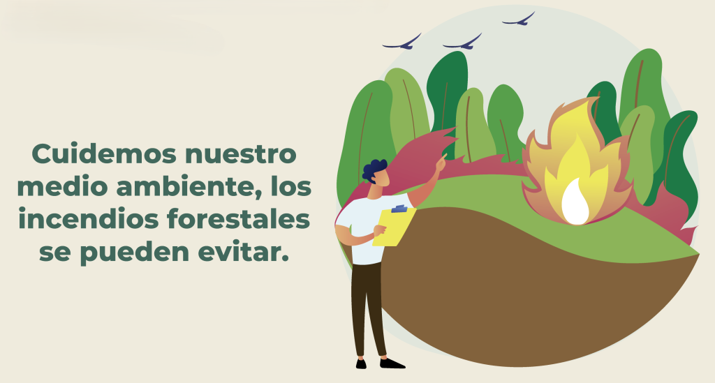 Prevención de incendios forestales – Secretaría de Planeación Urbana e Infraestructura ...